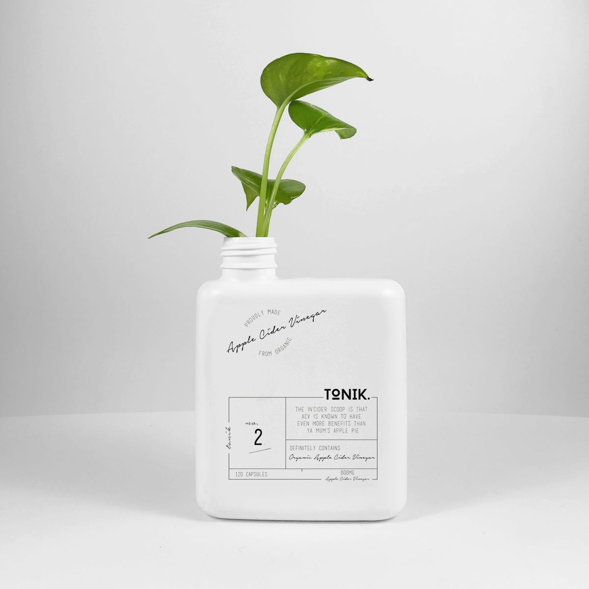 Innovative styling with FRP Garden Pots for the Urban Dweller