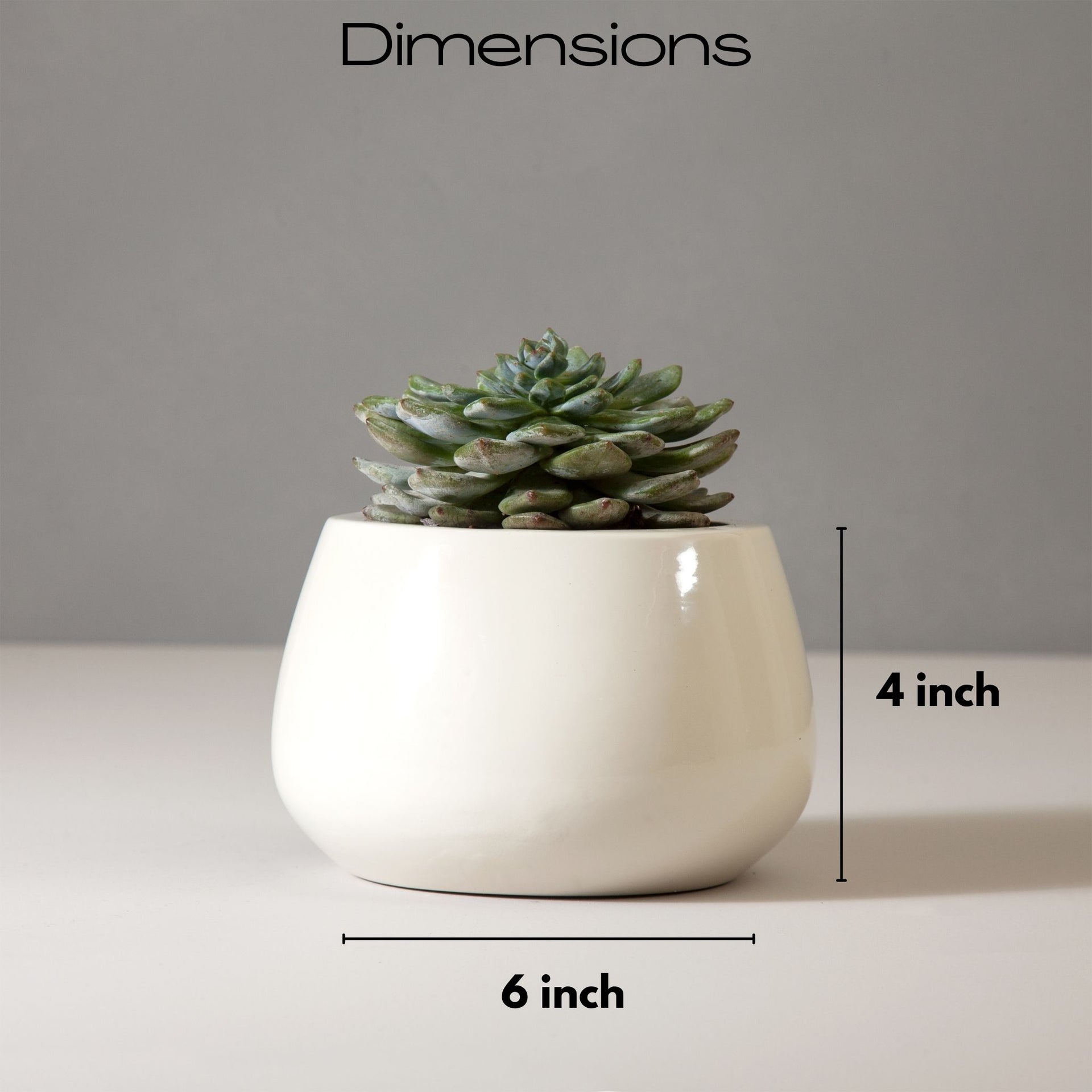 Blob family– Gallery by theworkshop